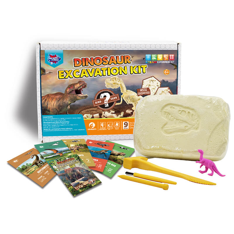 Dinosaur Excavation Kit - Buy Dinosaur Excavation Kit Product on Alpha ...