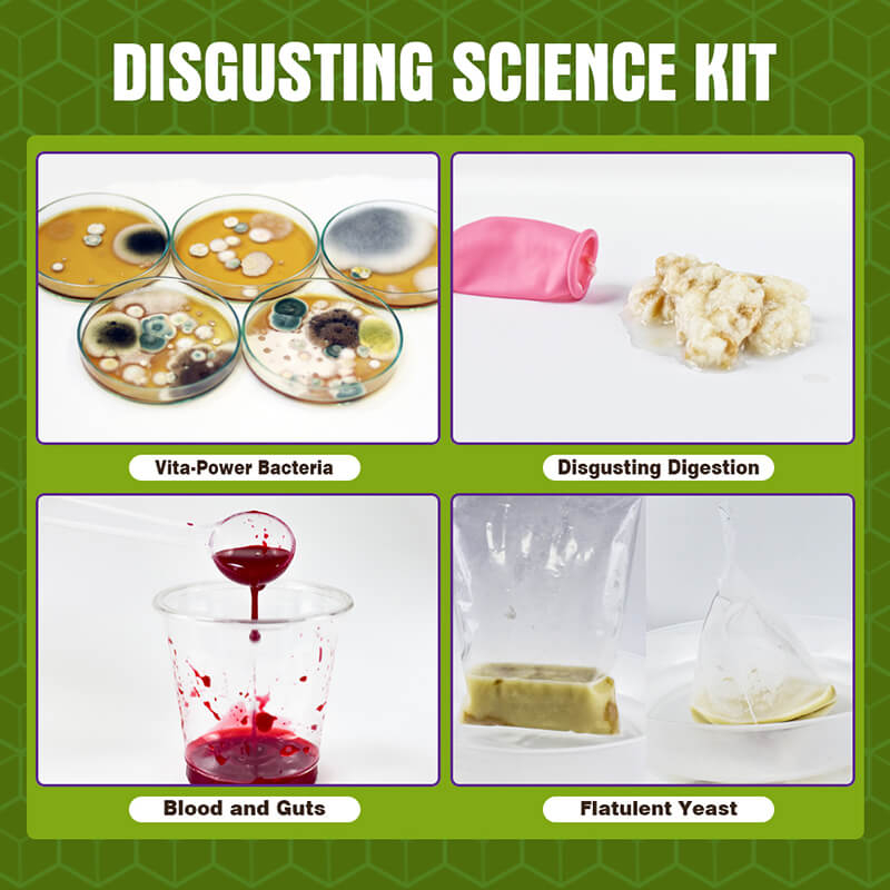 New Disgusting Science Kit - Buy New Disgusting Science Kit, Science ...
