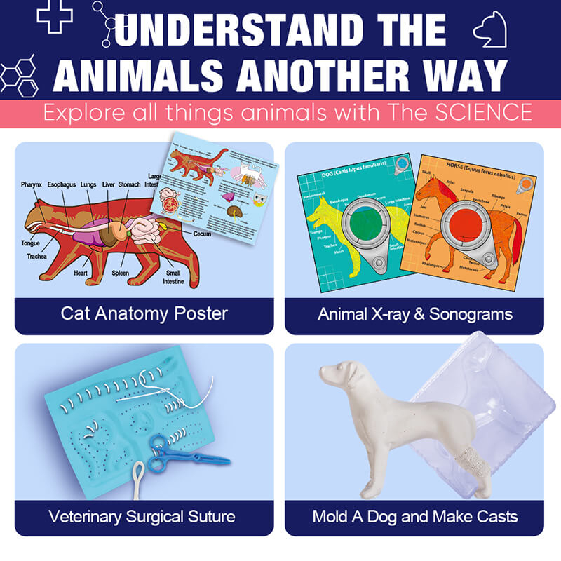 Veterinary Science Kit - Buy Veterinary Science Kit Product on Alpha ...
