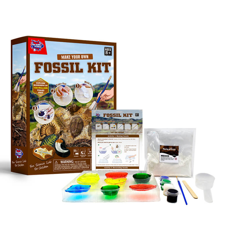 Fossil Kit--New Arrivals|Fossil Dig Kit|Paleontologist Kit-Alpha ...